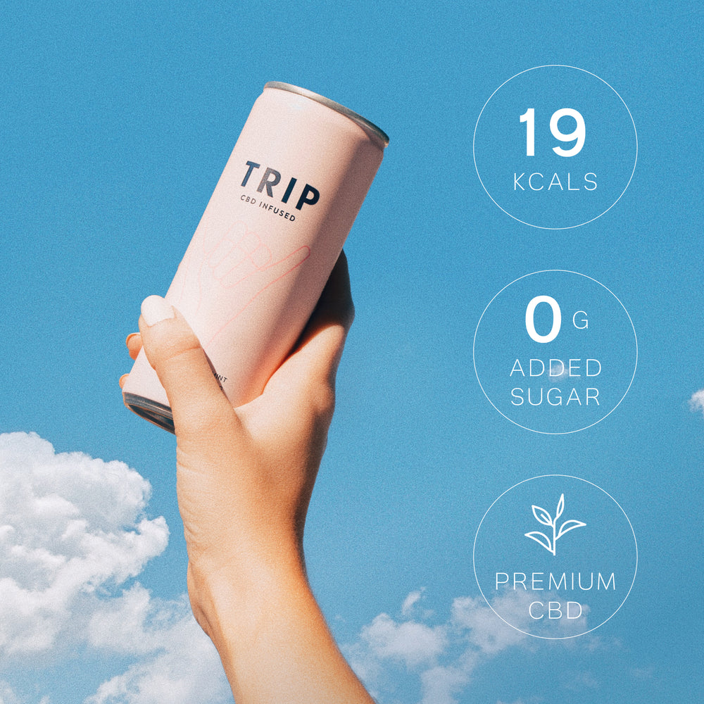 Buy UK's Best CBD Drinks Online | CBD Infused Drinks