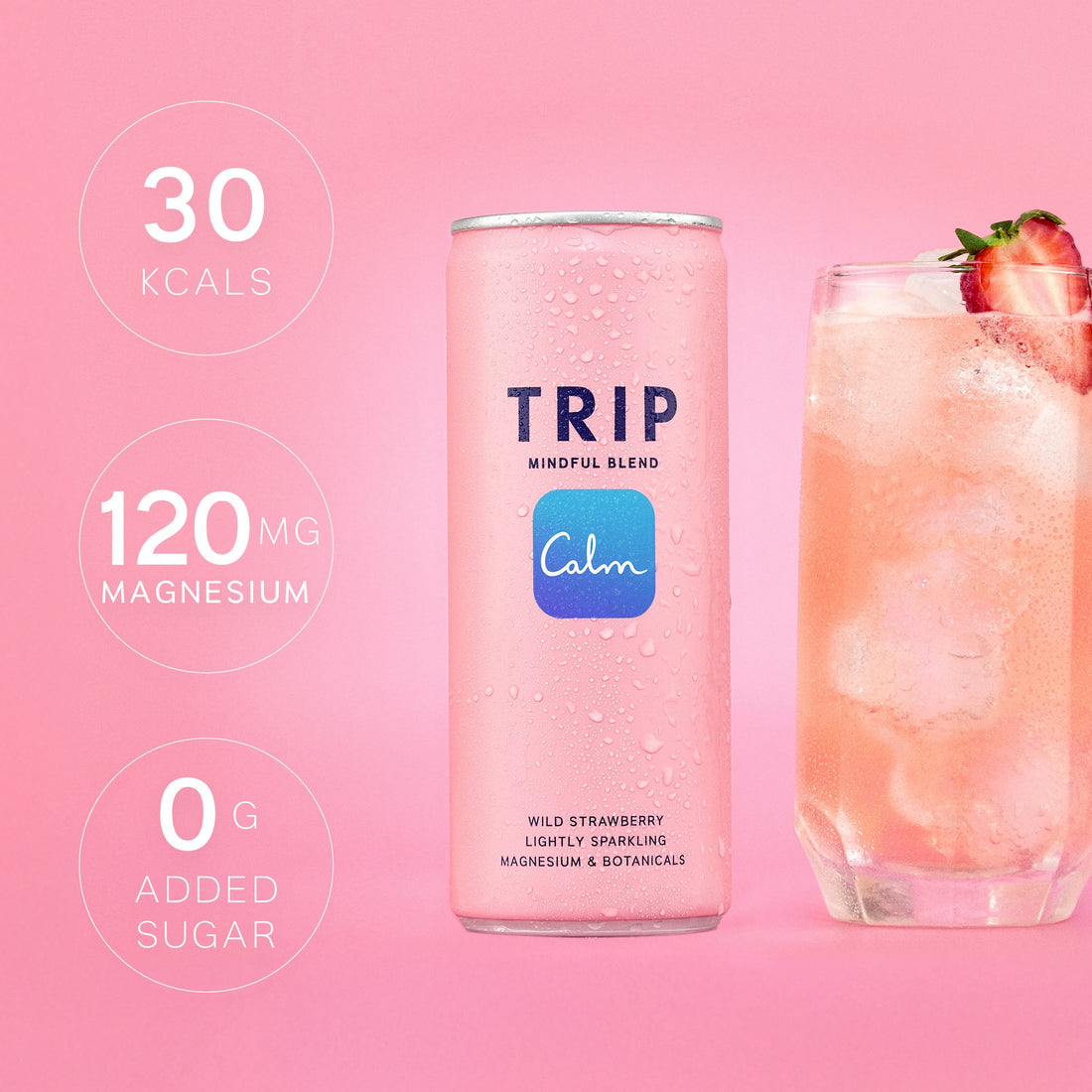 Wild Strawberry – Mindful Blend Magnesium Drink | TRIP Drinks