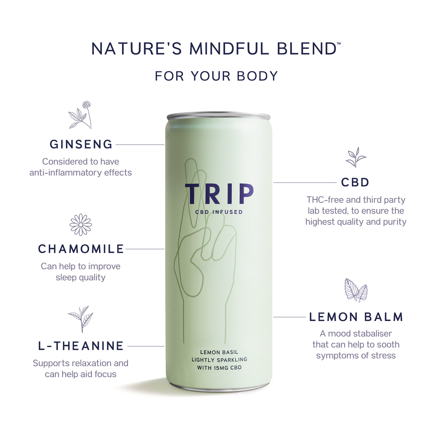 Buy UK's Best CBD Drinks Mixed Pack - Non Alcoholic