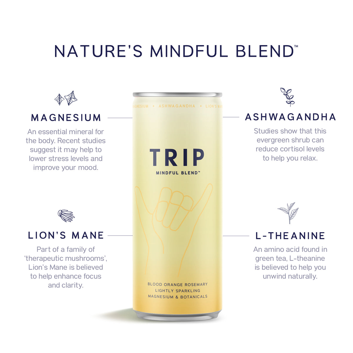 Blood Orange Rosemary Mindful Blend