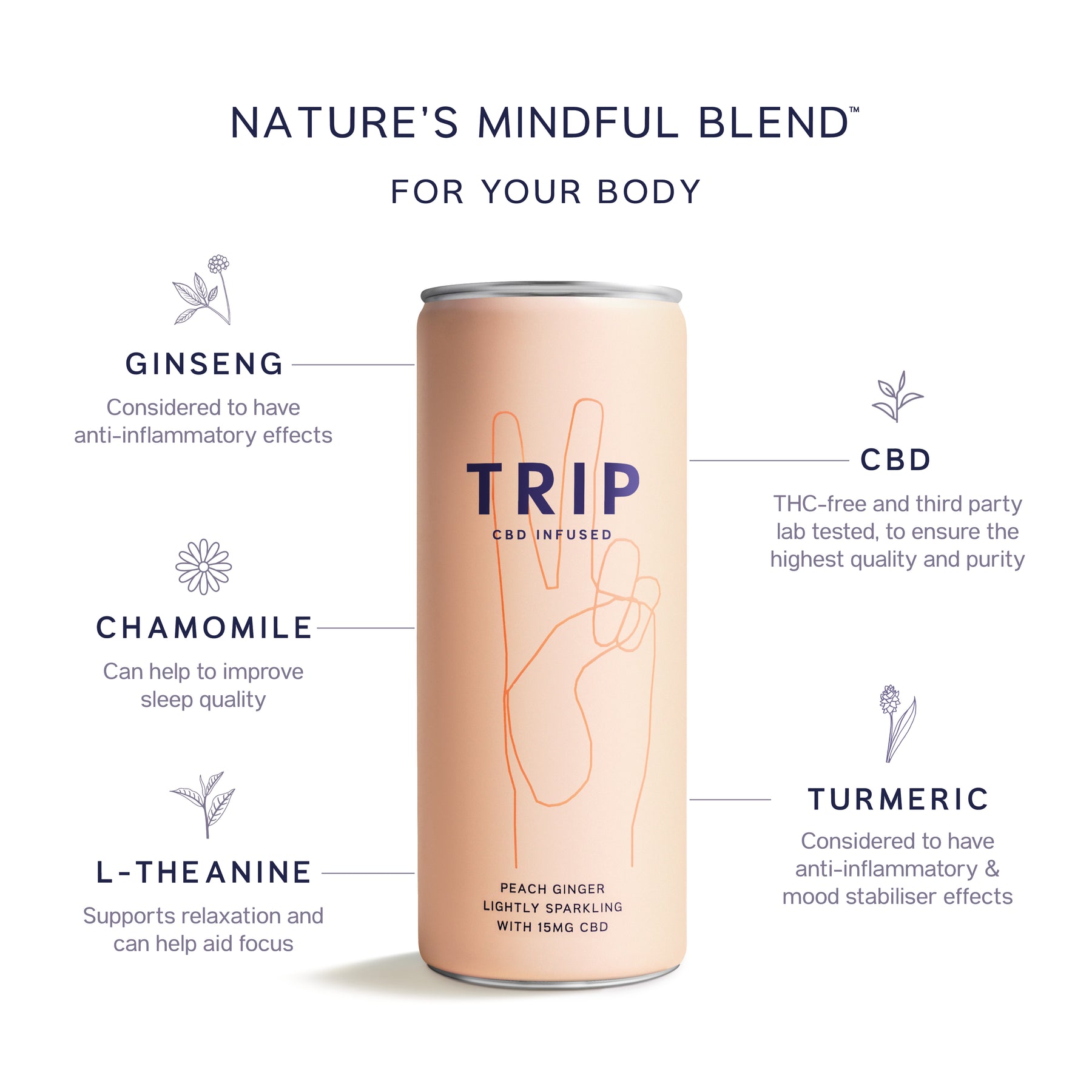 Shop Peach Ginger 15MG CBD Drink | TRIP