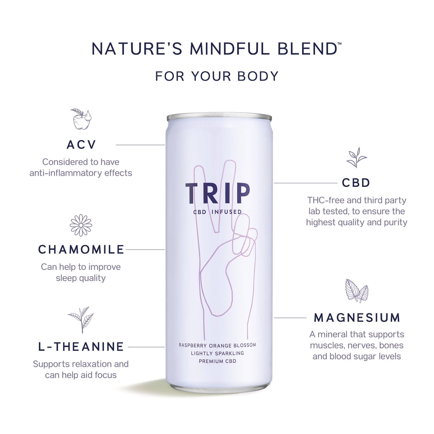 Shop Raspberry Orange Blossom CBD Drink | TRIP